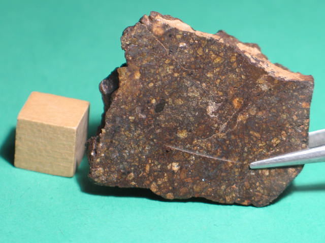 Dar al Gani 319 Polymict Ureilite Achondrite Meteorites for Sale
