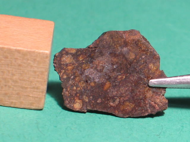 Dar al Gani 319 Polymict Ureilite Achondrite Meteorites for Sale