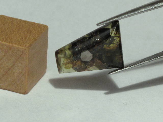 Esquel Pallasite Meteorites for Sale