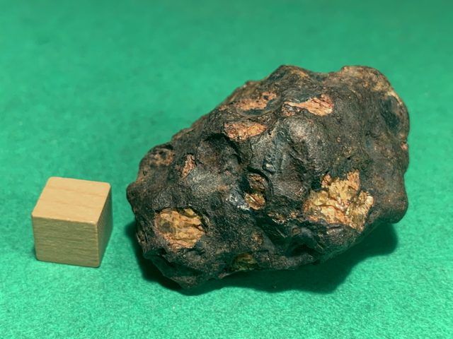 Imilac Pallasite Meteorites for Sale