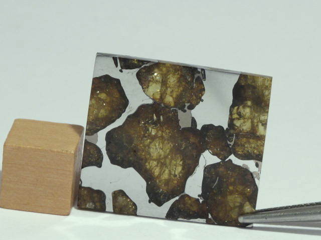 Imilac Pallasite Meteorites for Sale
