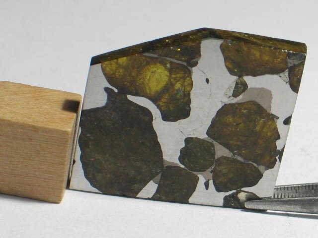 Imilac Pallasite Meteorites for Sale