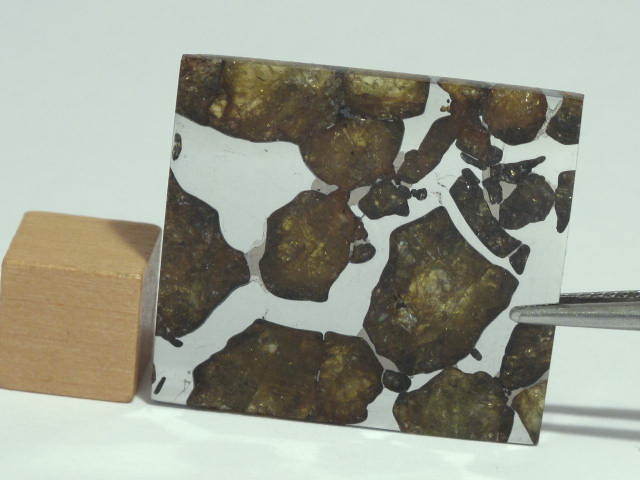 Imilac Pallasite Meteorites for Sale