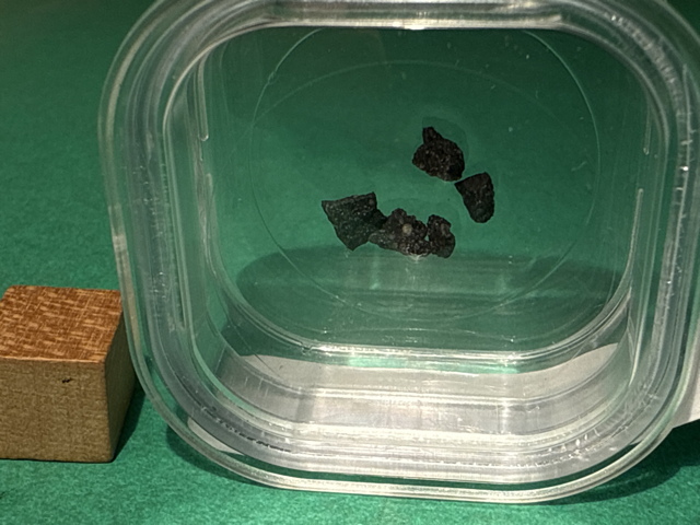 Murchison CM2 Carbonaceous Chondrite Meteorites for Sale