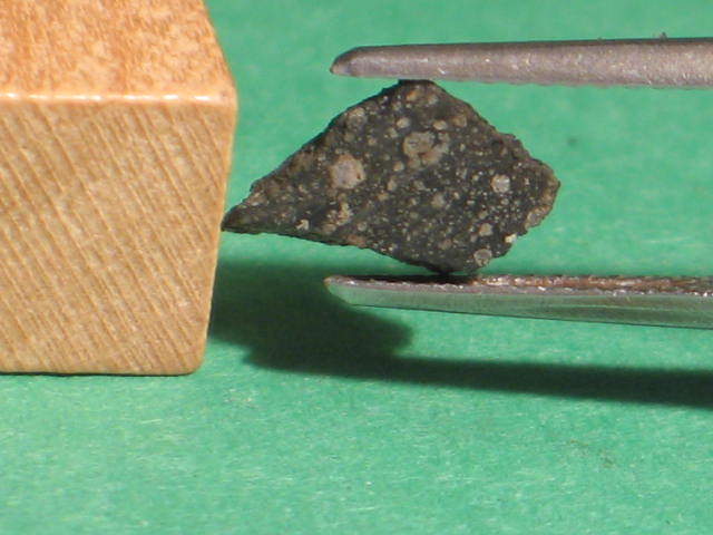 Murchison CM2 Carbonaceous Chondrite Meteorites for Sale