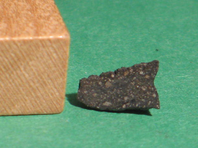 Murchison CM2 Carbonaceous Chondrite Meteorites for Sale
