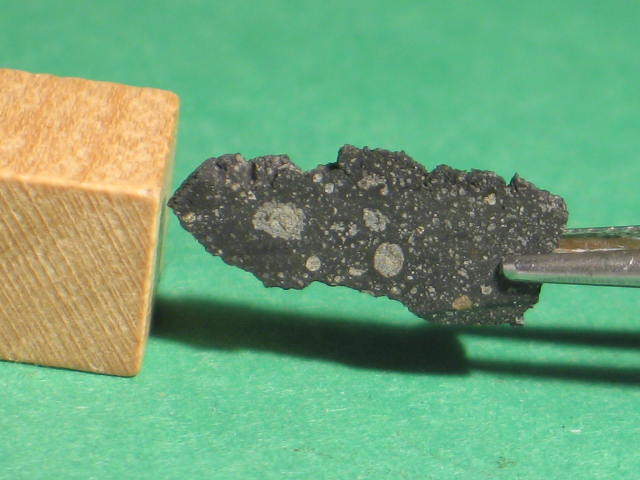 Murchison CM2 Carbonaceous Chondrite Meteorites for Sale