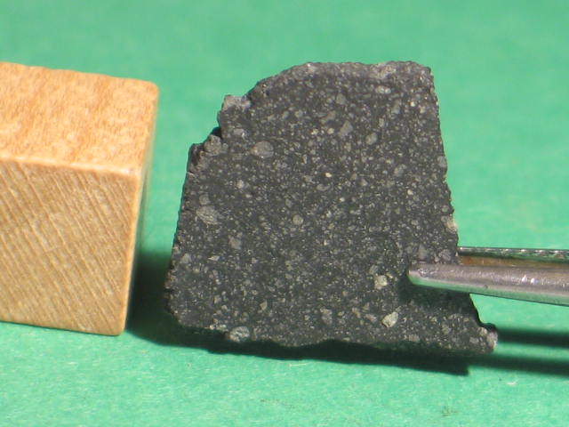 Murchison CM2 Carbonaceous Chondrite Meteorites for Sale