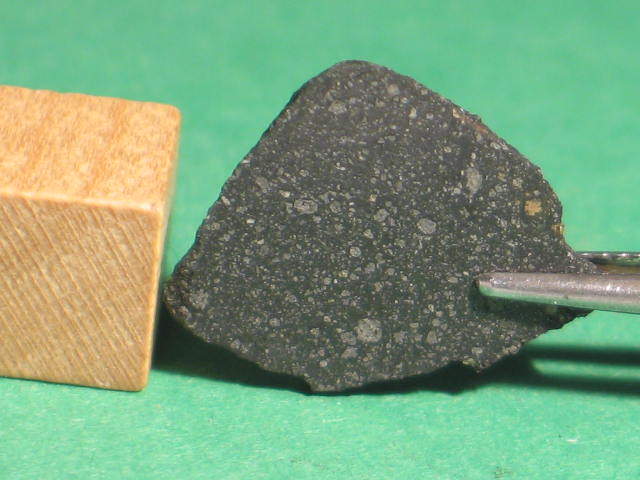 Murchison CM2 Carbonaceous Chondrite Meteorites for Sale