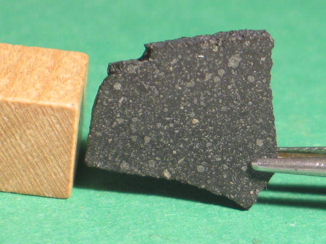 Murchison CM2 Carbonaceous Chondrite Meteorites for Sale