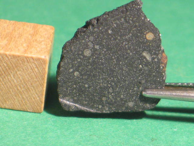 Murchison CM2 Carbonaceous Chondrite Meteorites for Sale