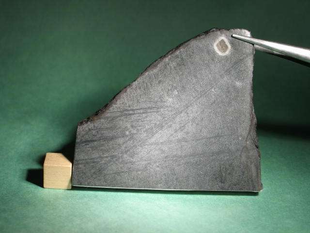 Tishomingo Ni-Rich Ataxite Iron Meteorites for Sale